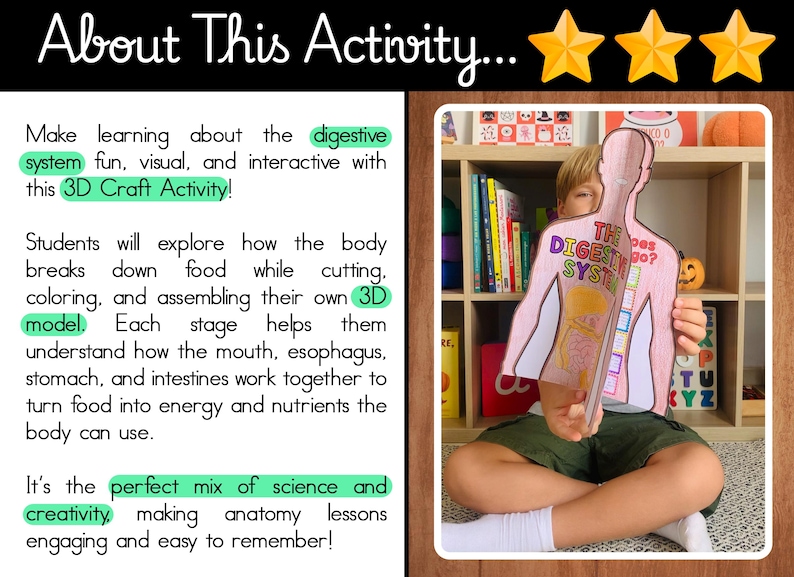 Digestive System 3D Craft | Human Body Science Activity | Printable ...