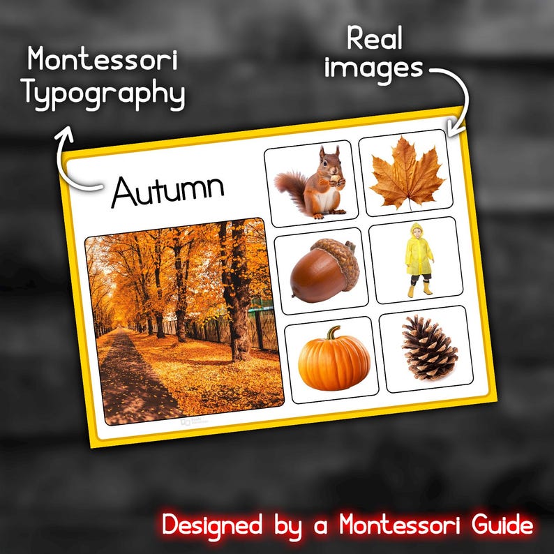 Four Seasons Montessori Sorting Activity | REAL IMAGES | Learning ...