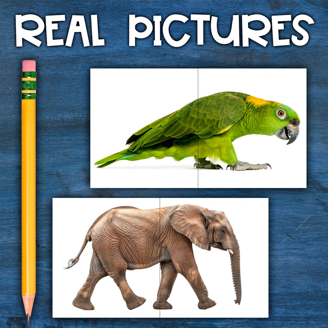 Animal Puzzles Matching Cards | Symmetry Activities | Montessori ...