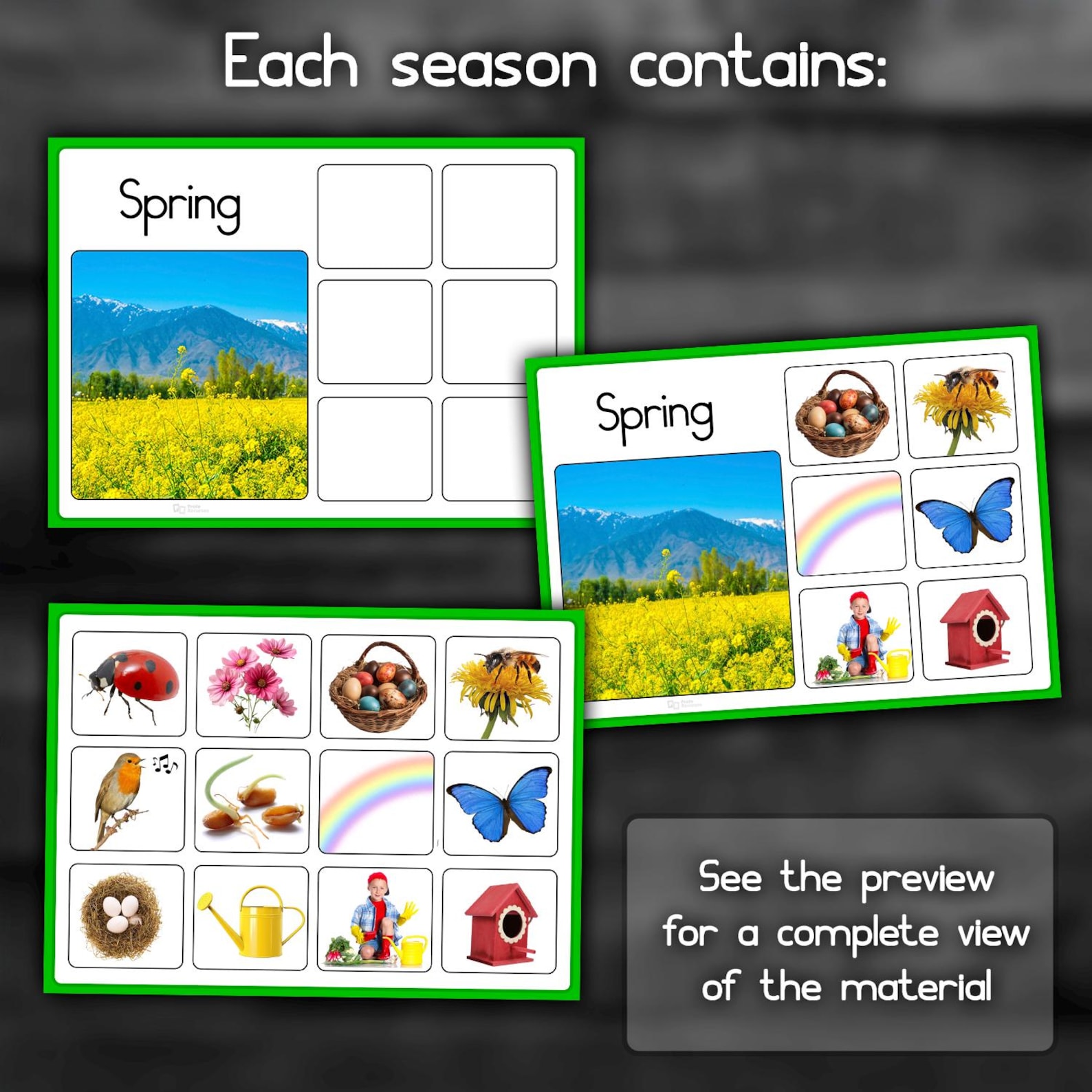 Four Seasons Montessori Sorting Activity | REAL IMAGES | Learning ...