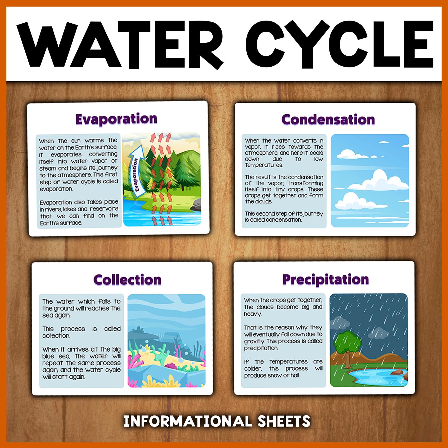 Water Cycle Unit for Kids | Display Poster + Information + Activity ...