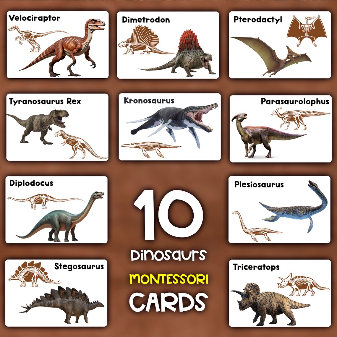 Dinosaur Fossil Matching | Montessori Dinosaurs | Dinosaurs Flashcards ...