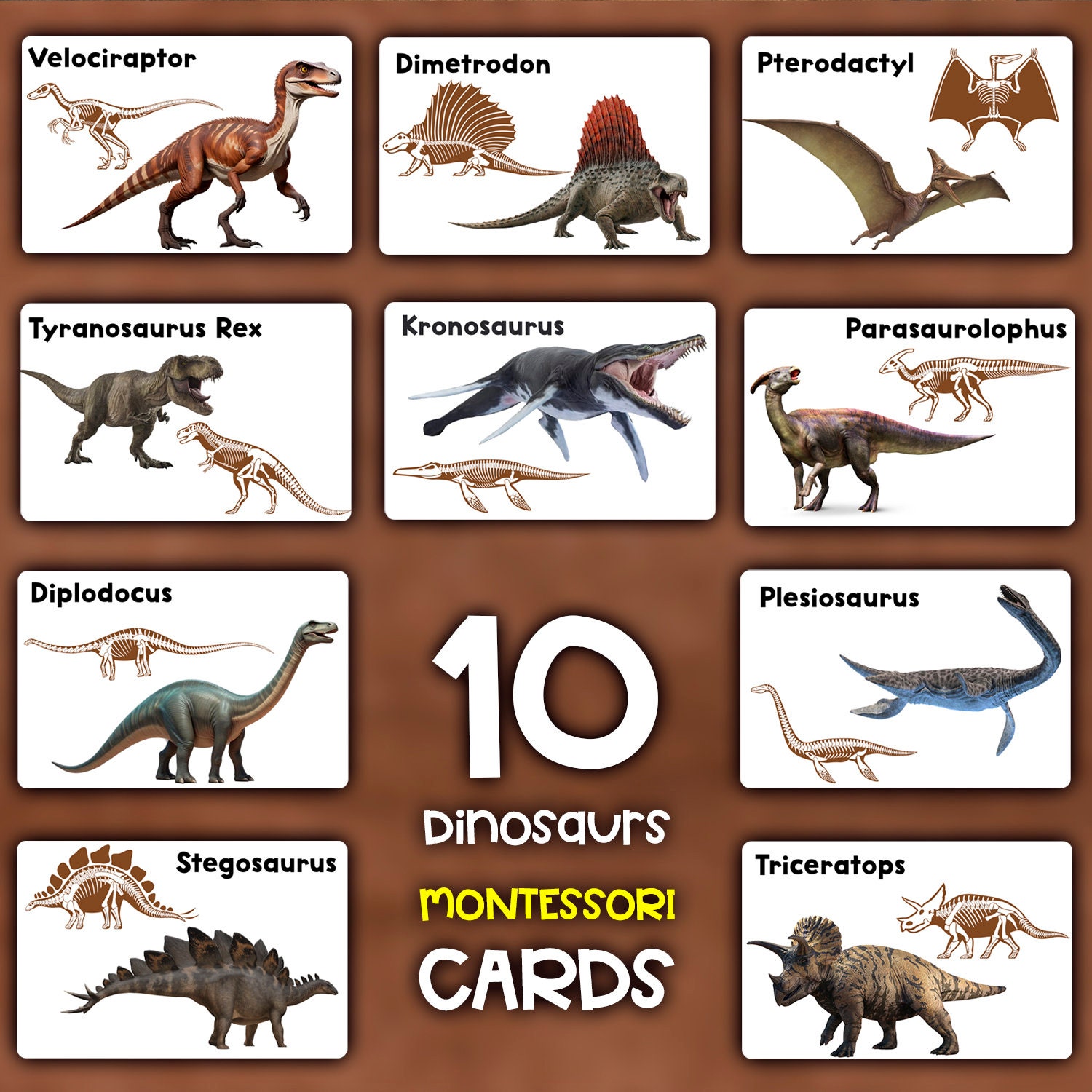 Dinosaur Fossil Matching | Montessori Dinosaurs | Dinosaurs Flashcards ...