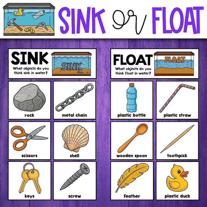 Sink or Float Sorting Activity | 20 Cards SORT | Sink and Float ...