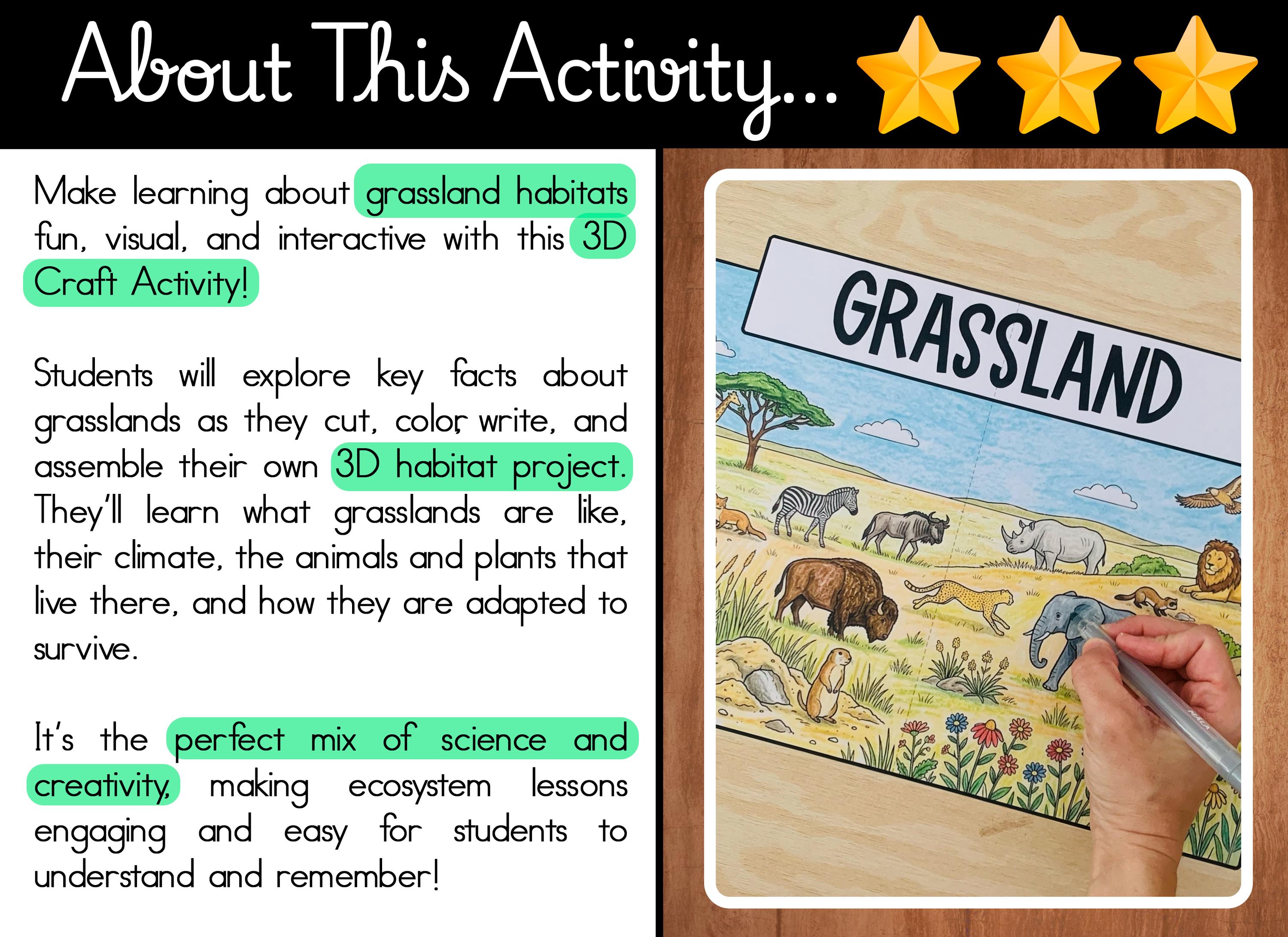 GRASSLAND Habitat | 3D Craft Activity | Biomes Hands-on Science ...