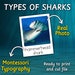 Types of Sharks Cards Types of Sharks Montessori Cards Montessori ...