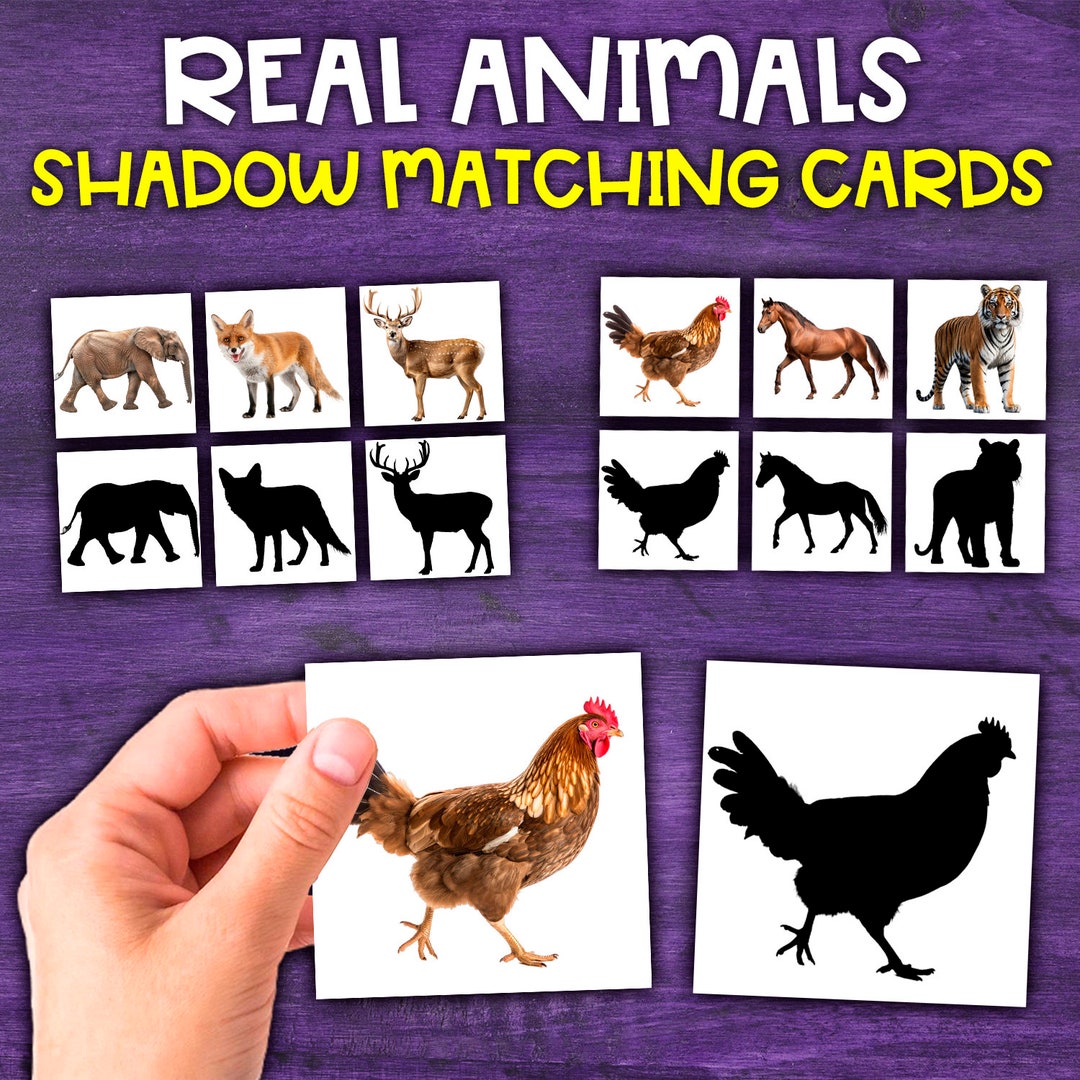 Animals Shadow Matching Cards | Shadow Match Activity | Animal Shapes ...