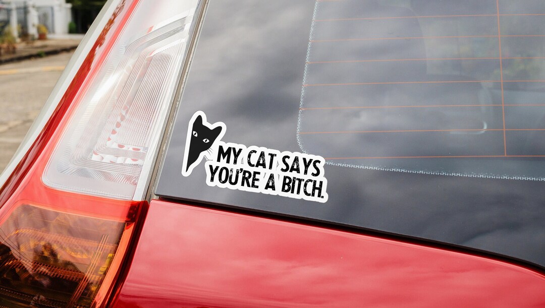 Cat Lovers Car Window Decal, My Cat Says Sticker, Funny Cat Window ...