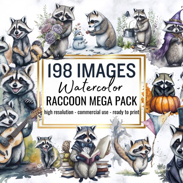 Raccoon Clipart - Etsy