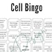 Printable Cell Structure and Function Bingo Game Teaching Resource ...