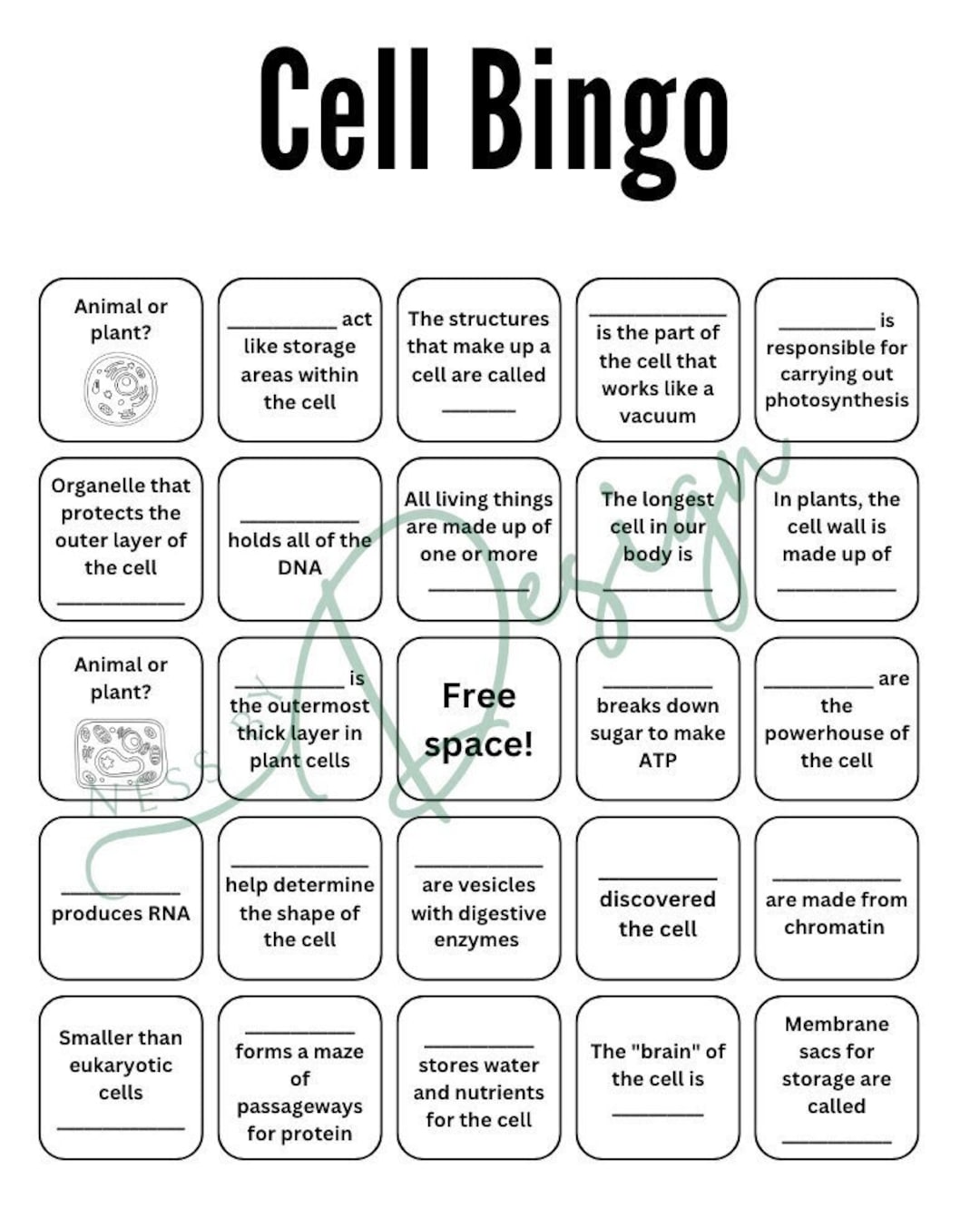 Printable Cell Structure and Function Bingo Game Teaching Resource ...