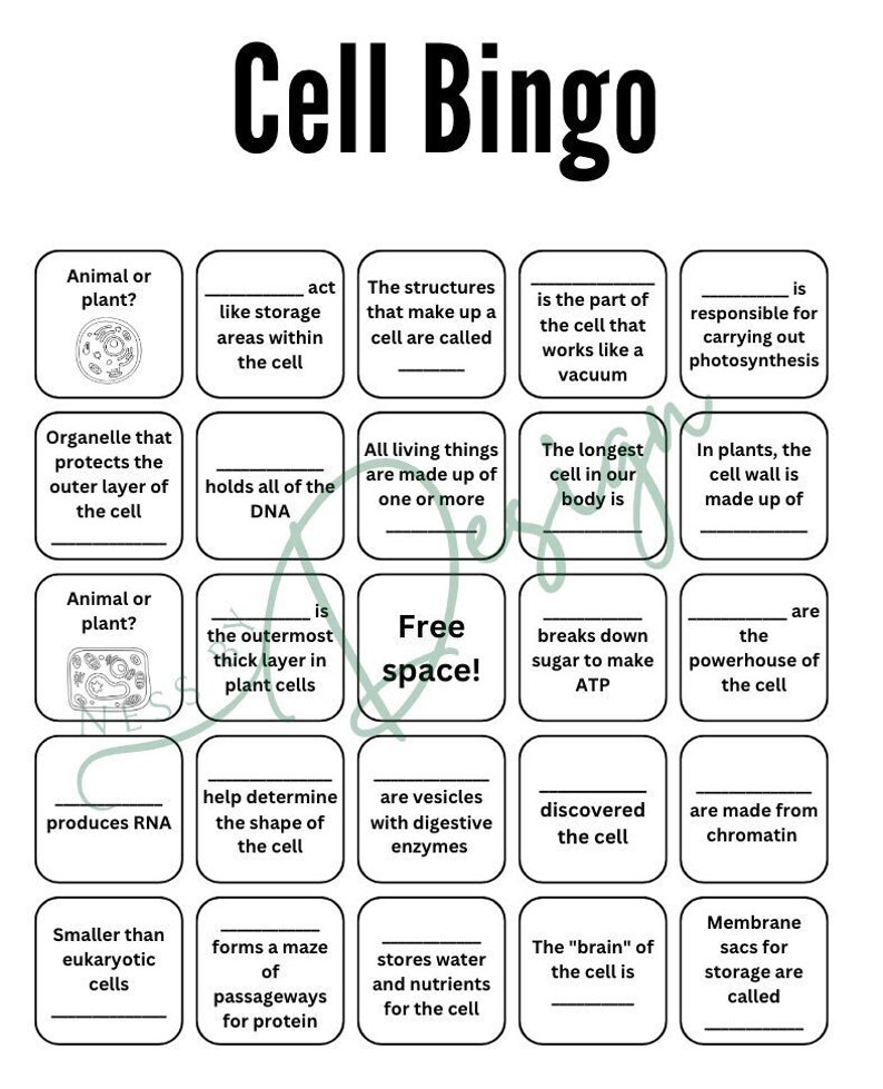 Printable Cell Structure and Function Bingo Game Teaching Resource ...