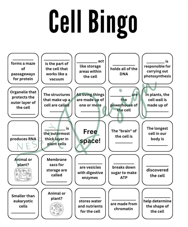 Printable Cell Structure and Function Bingo Game Teaching Resource ...