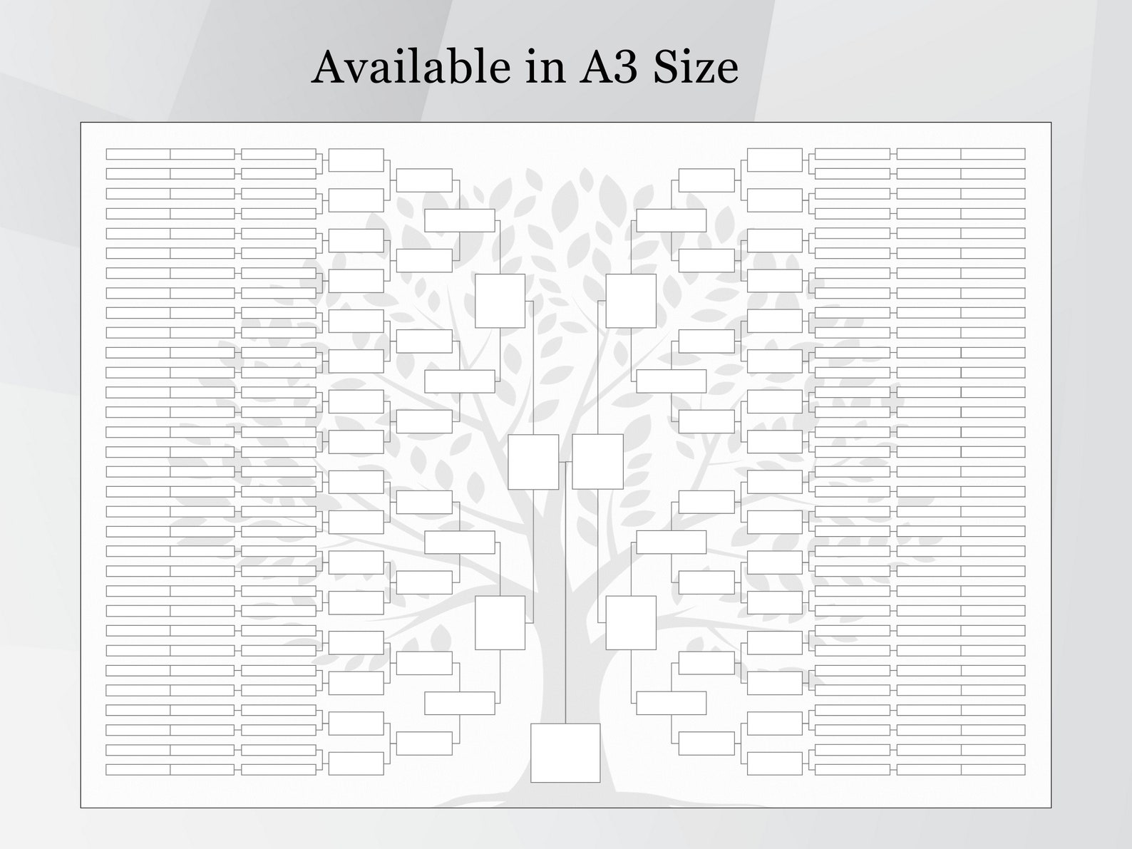 8 Generation Family Tree Chart – JQMCLV