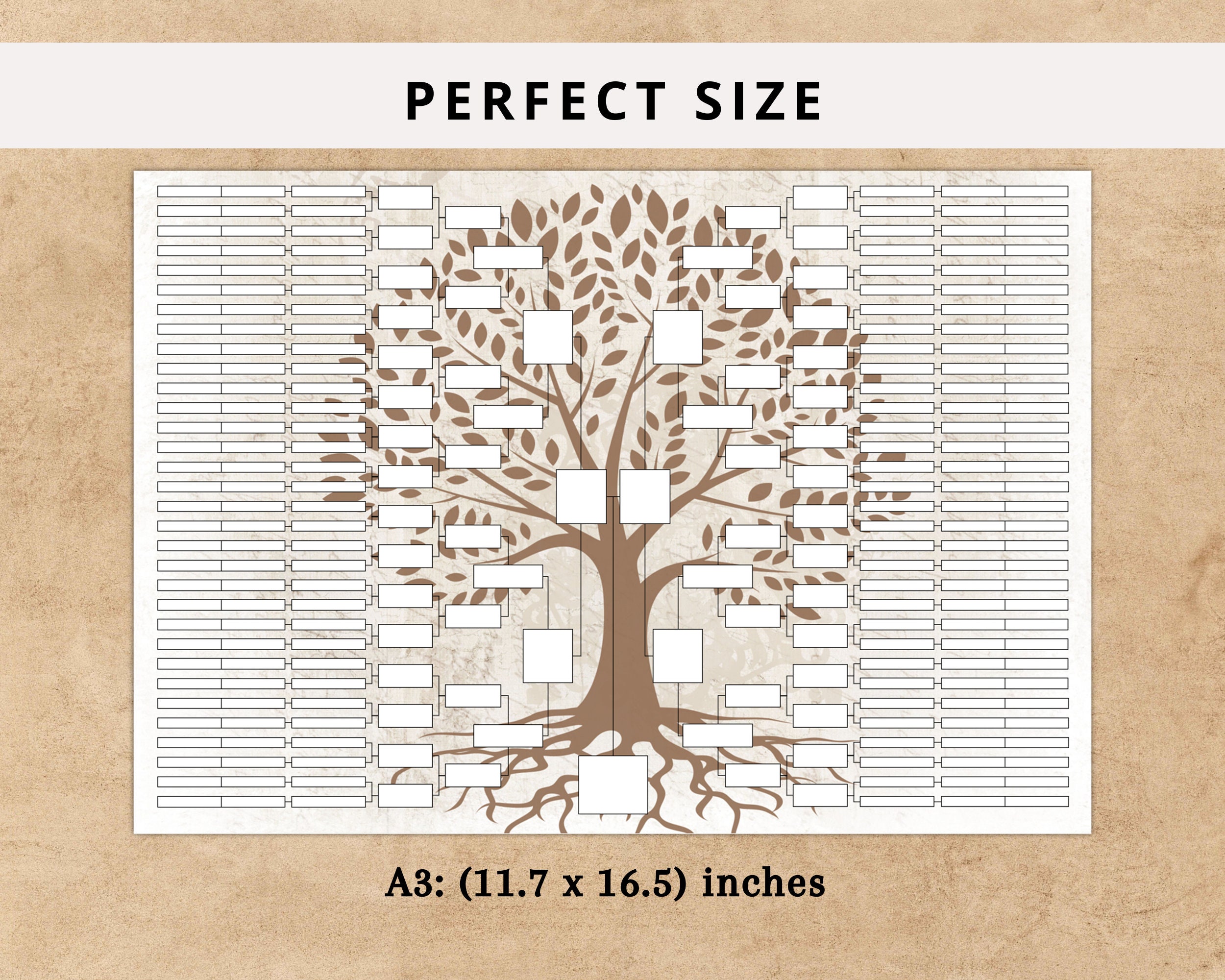 8 Generation Family Tree Templates. Editable Family Reunion Gifts ...