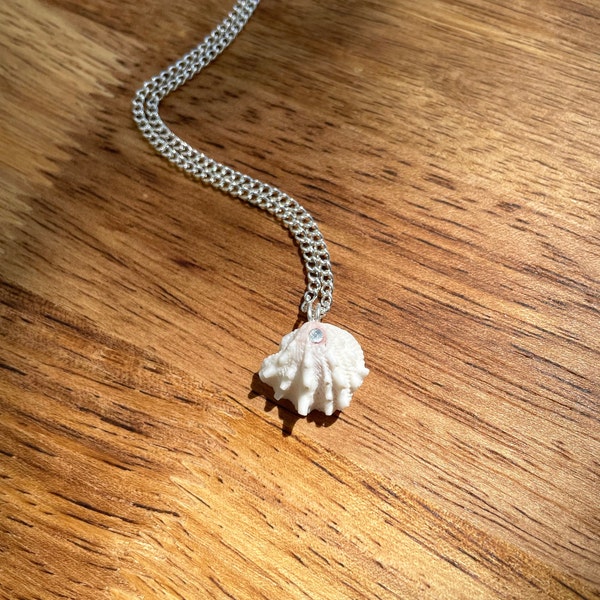 Clam Necklace - Etsy