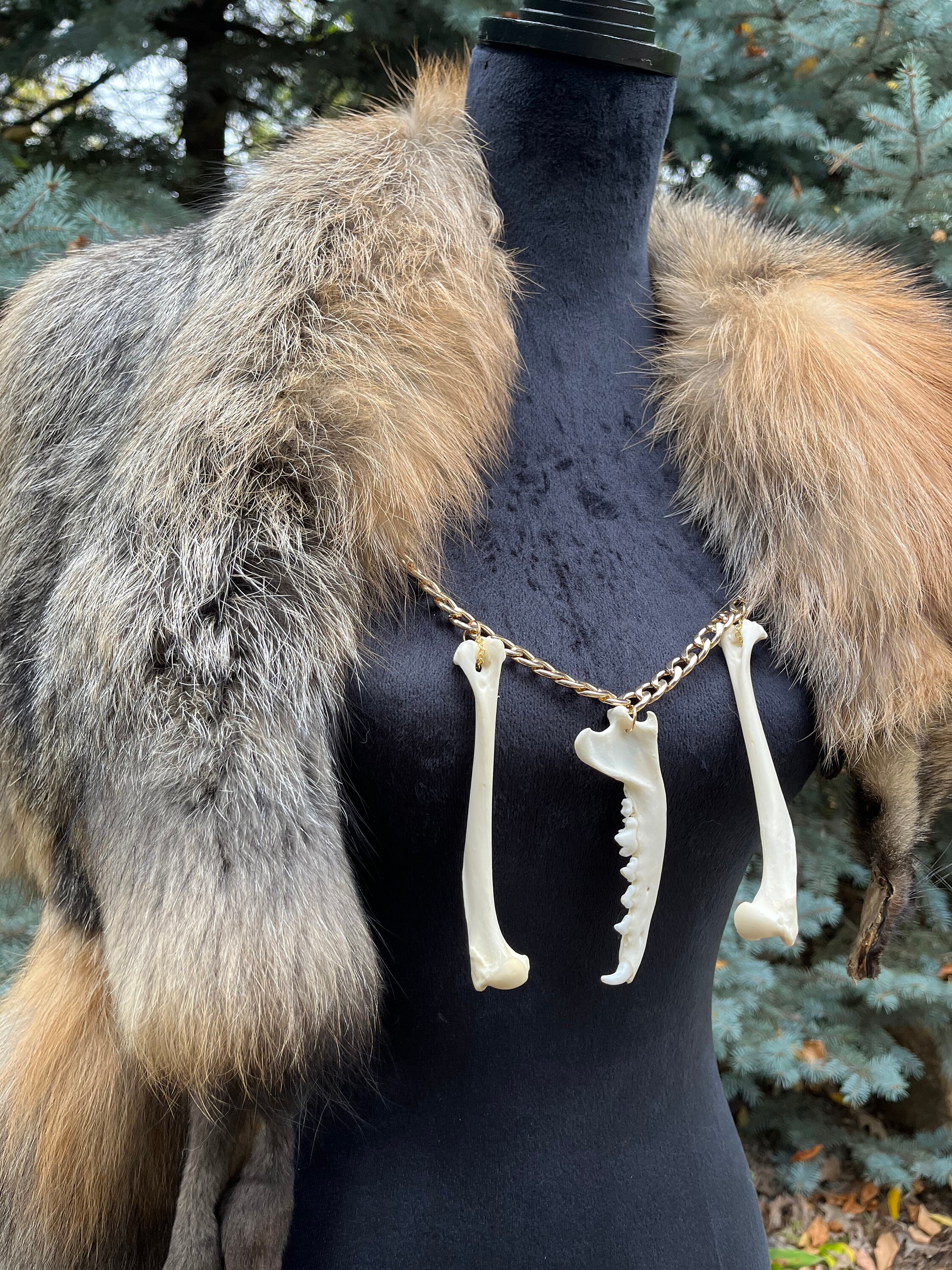Fox Fur Shall With Removable Fox Bone and Jaw Necklace Piece - Etsy