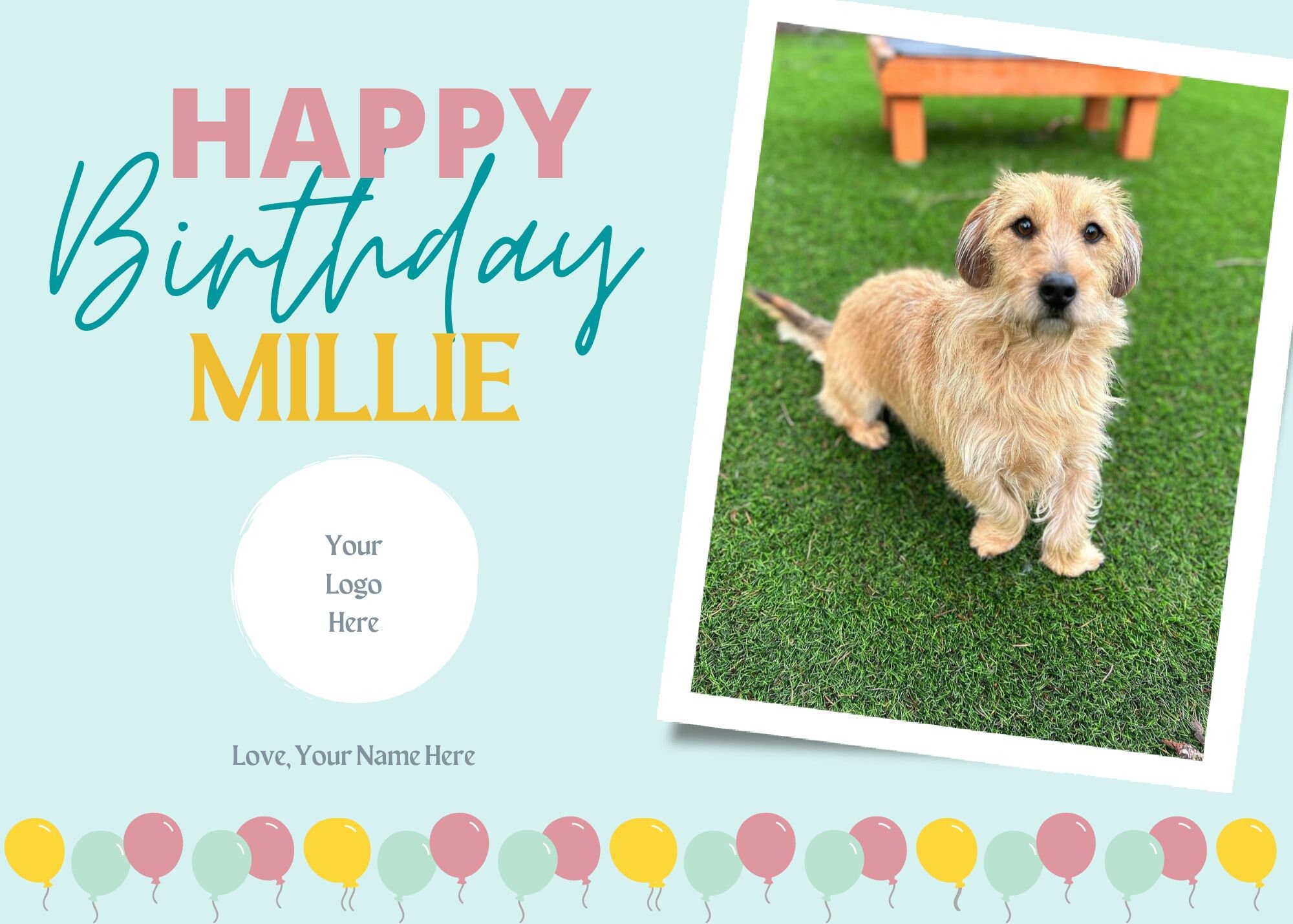 Dog Business Client Birthday Card [digital Download, Editable on Canva ...