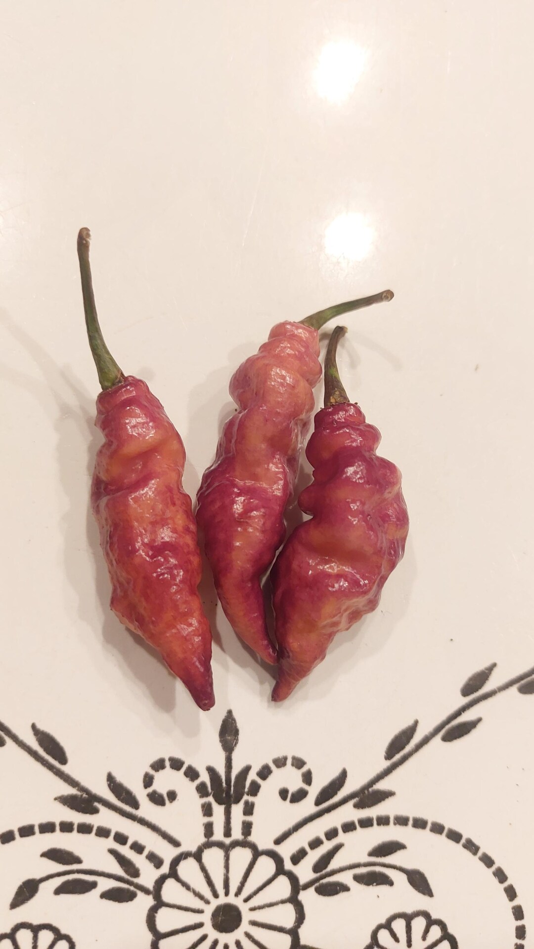 15+ Pink Tiger Pepper Seeds - Etsy