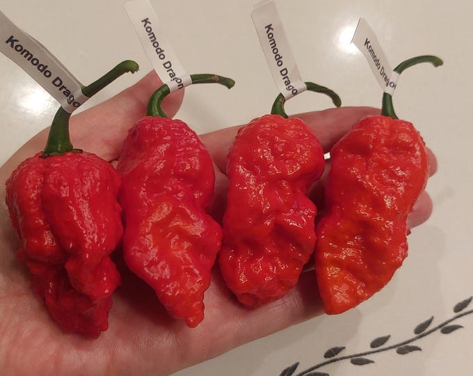 15+ Komodo Dragon Pepper Seeds - Etsy