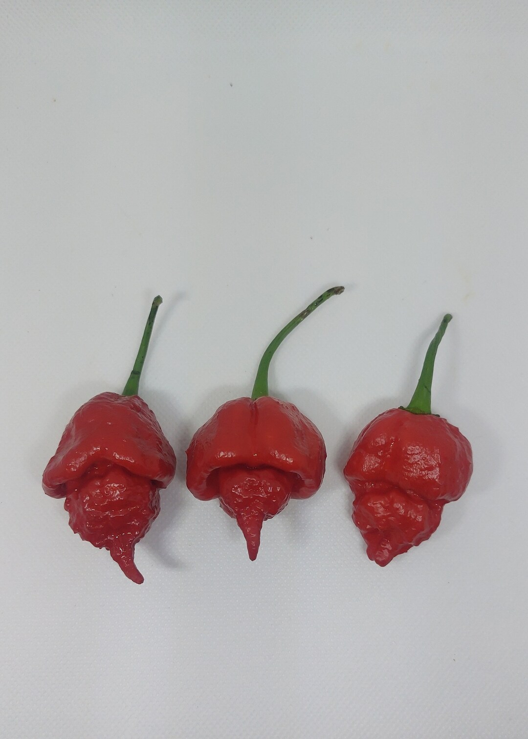 15+ Apocalypse Scorpion Pepper Seeds - Etsy