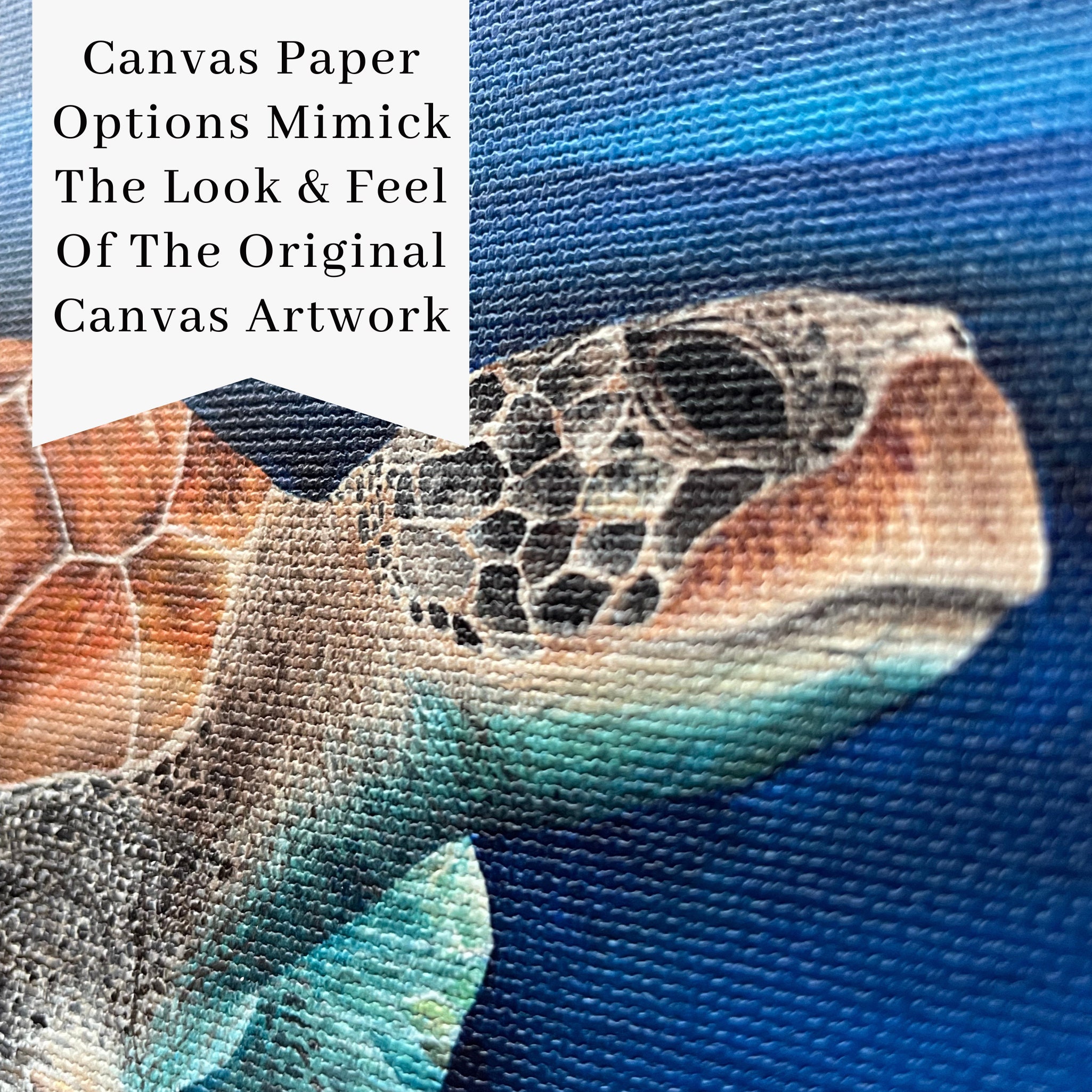 Sea Turtle Print, Turtle Art, Realistic Animal Art, Realistic Art ...