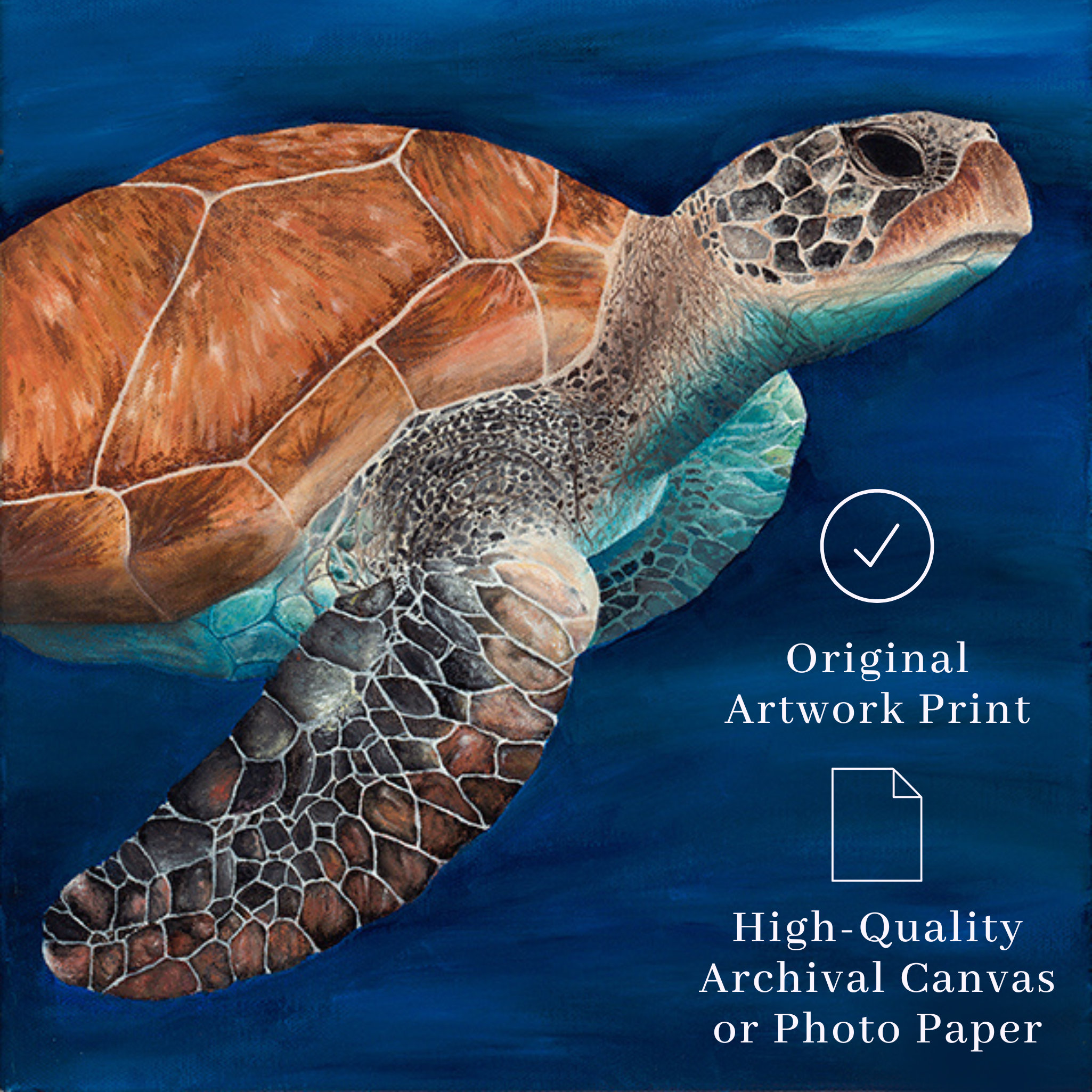 Sea Turtle Print, Turtle Art, Realistic Animal Art, Realistic Art ...