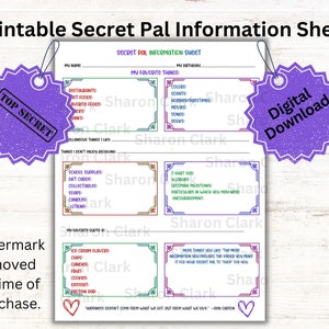 Secret Pal Information Sheet, Secret Pal Information Form, Colorful ...