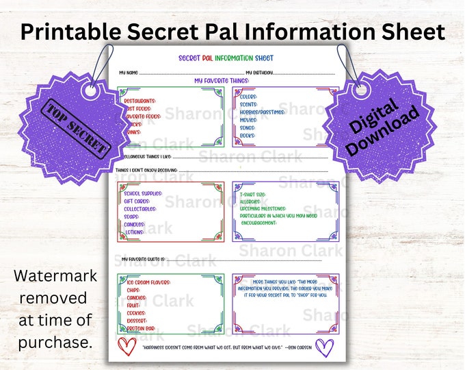 Colorful Secret Pal Information Sheet: Secret Sister, Santa, Soror ...