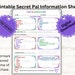 Secret Pal Information Sheet, Secret Pal Information Form, Colorful ...