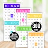 BINGO! 90 Caller Powerpoint Template - Etsy Canada