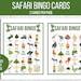 Safari Bingo 30 Printable Safari Bingo Cards Safari Party - Etsy