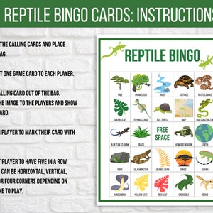 Reptile Bingo, 30 Printable Reptile Bingo Cards, Reptile Party Game ...