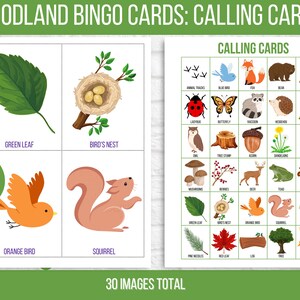 Woodland Bingo, 30 Printable Woodland Bingo Cards, Woodland Party Game ...