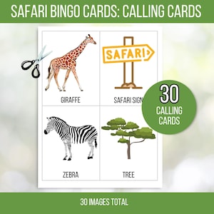 Safari Bingo, 30 Printable Safari Bingo Cards, Safari Party Game ...