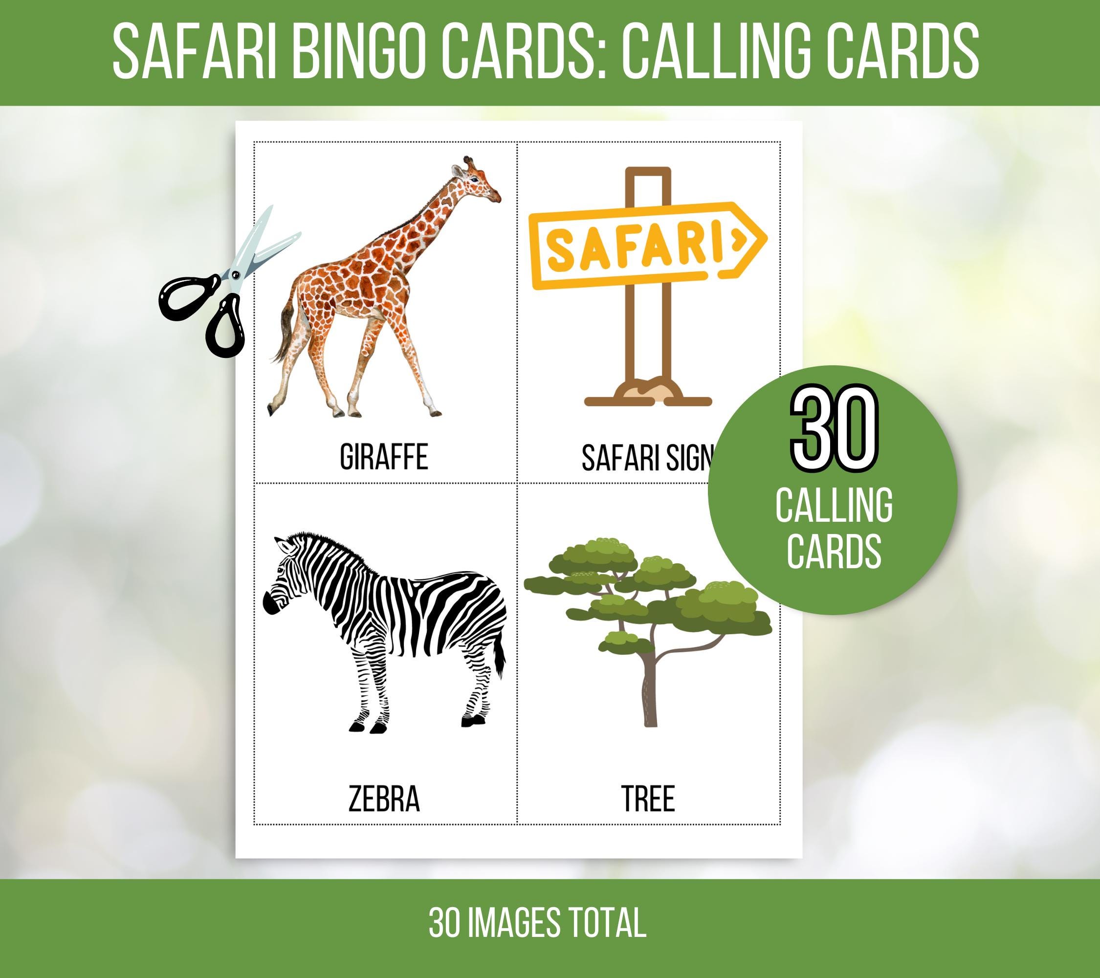 Safari Bingo, 30 Printable Safari Bingo Cards, Safari Party Game ...