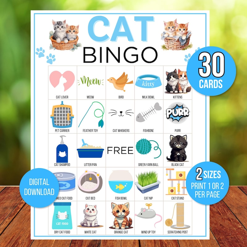 Cat Games for Kids Games - Etsy