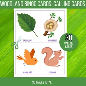 Woodland Bingo, 30 Printable Woodland Bingo Cards, Woodland Party Game ...