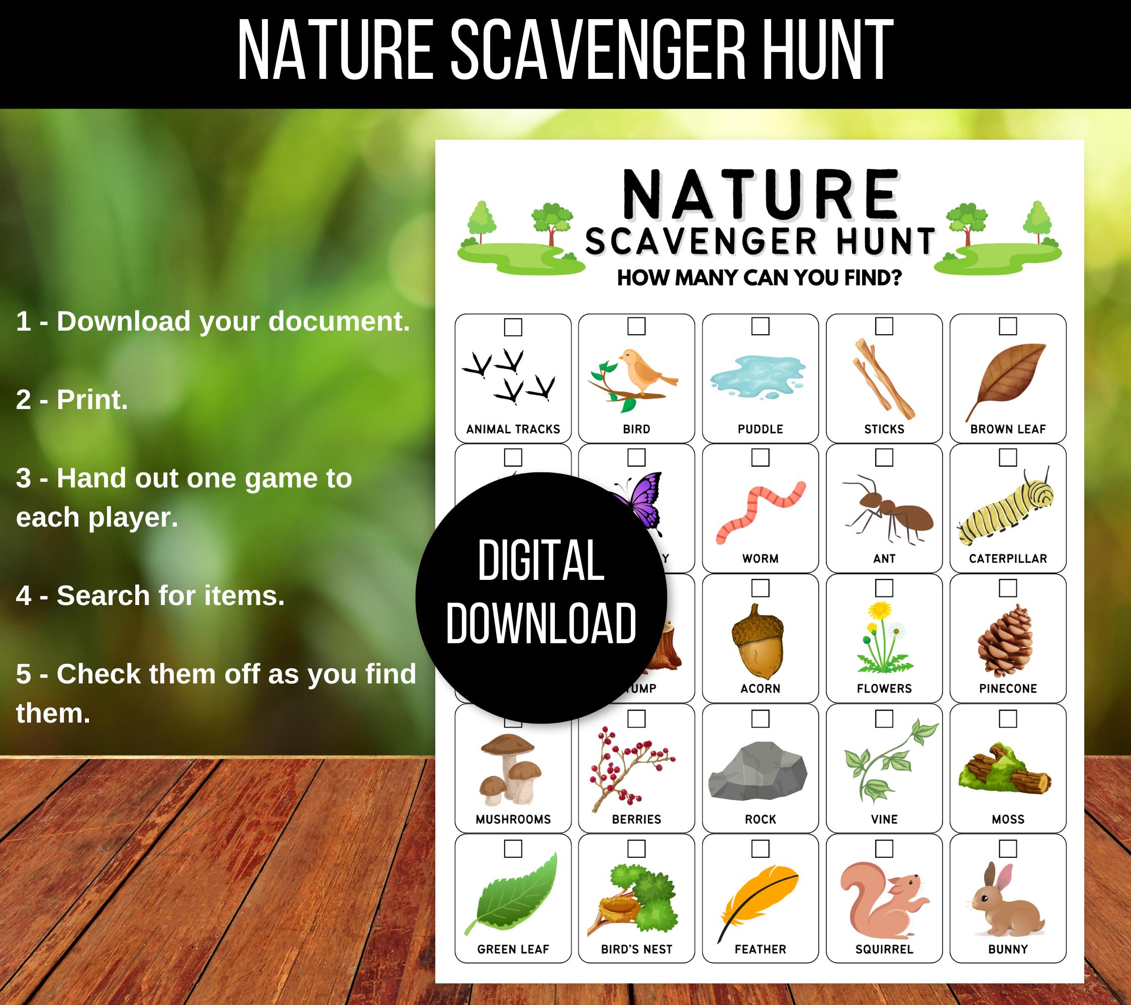 Nature Scavenger Hunt for Kids, Outdoor Nature Scavenger Hunt, Hike ...