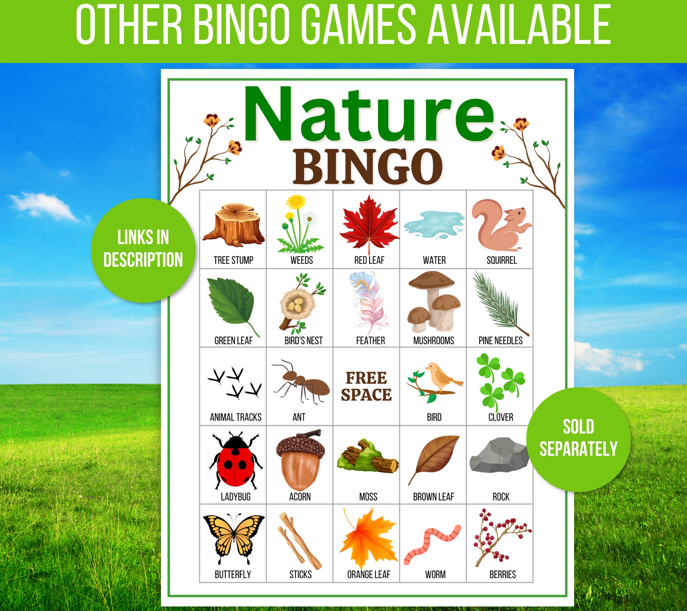 Bug Bingo, 30 Printable Bug Bingo Cards, Insect Bingo, Nature Bingo ...