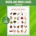 Woodland Bingo, 30 Printable Woodland Bingo Cards, Woodland Party Game ...