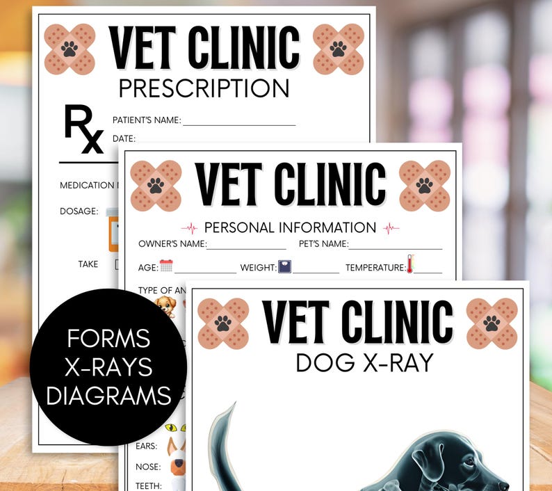 Vet Clinic Dramatic Play, Vet Clinic Pretend Play, Animal Hospital ...