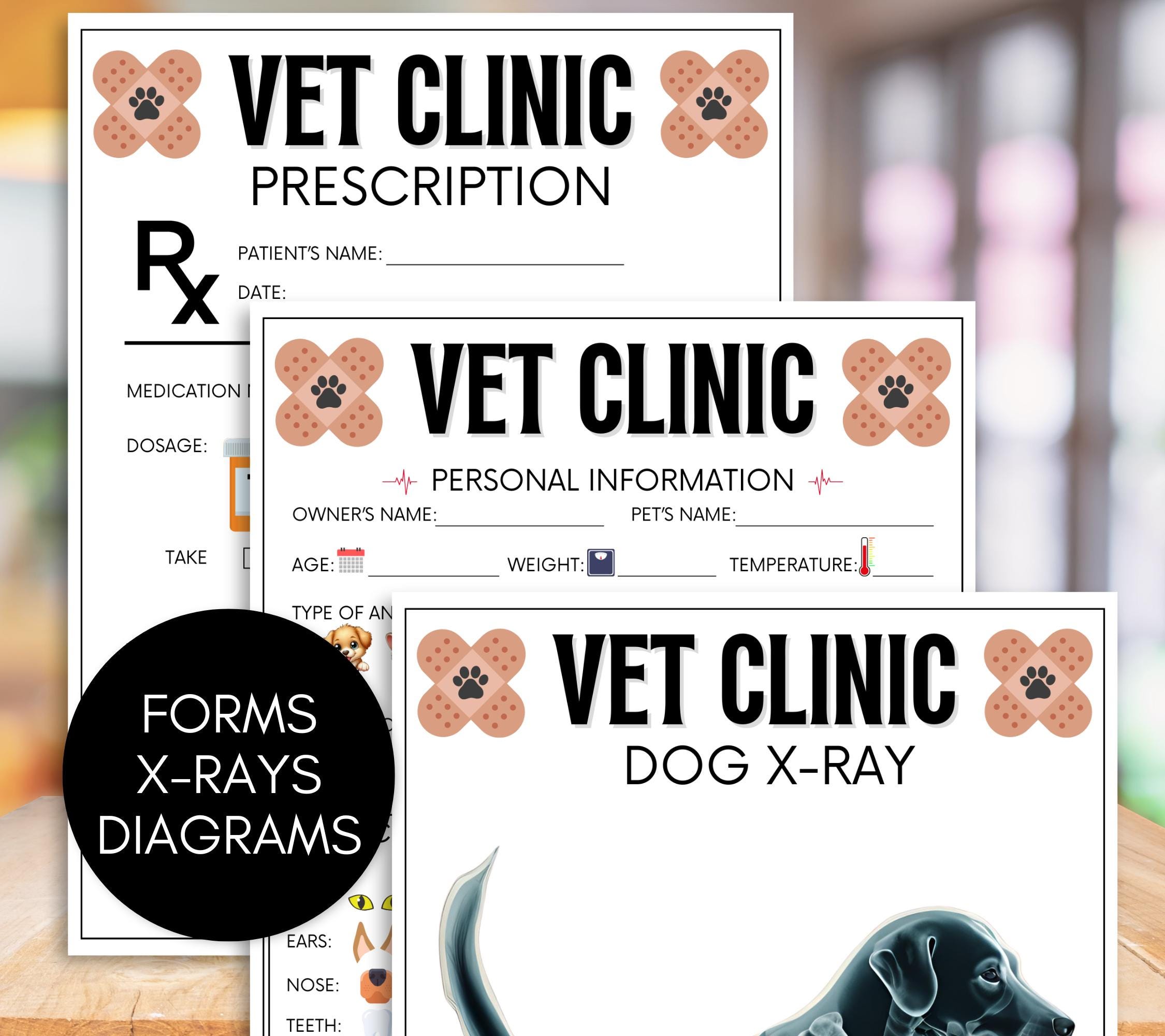 Vet Clinic Dramatic Play, Vet Clinic Pretend Play, Animal Hospital ...