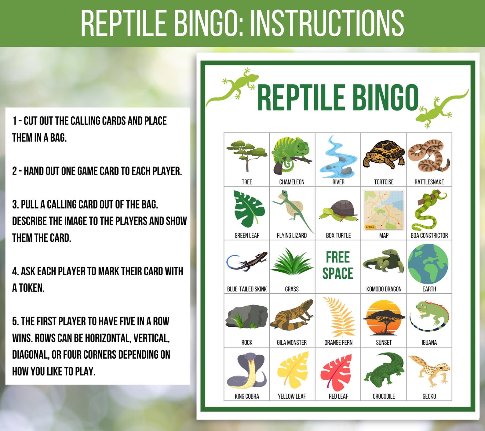 Reptile Bingo, 30 Printable Reptile Bingo Cards, Reptile Party Game ...