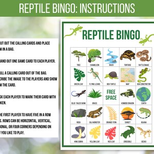 Reptile Bingo, 30 Printable Reptile Bingo Cards, Reptile Party Game ...
