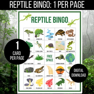 Reptile Bingo, 30 Printable Reptile Bingo Cards, Reptile Party Game ...
