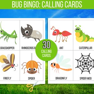 Bug Bingo, 30 Printable Bug Bingo Cards, Insect Bingo, Nature Bingo ...