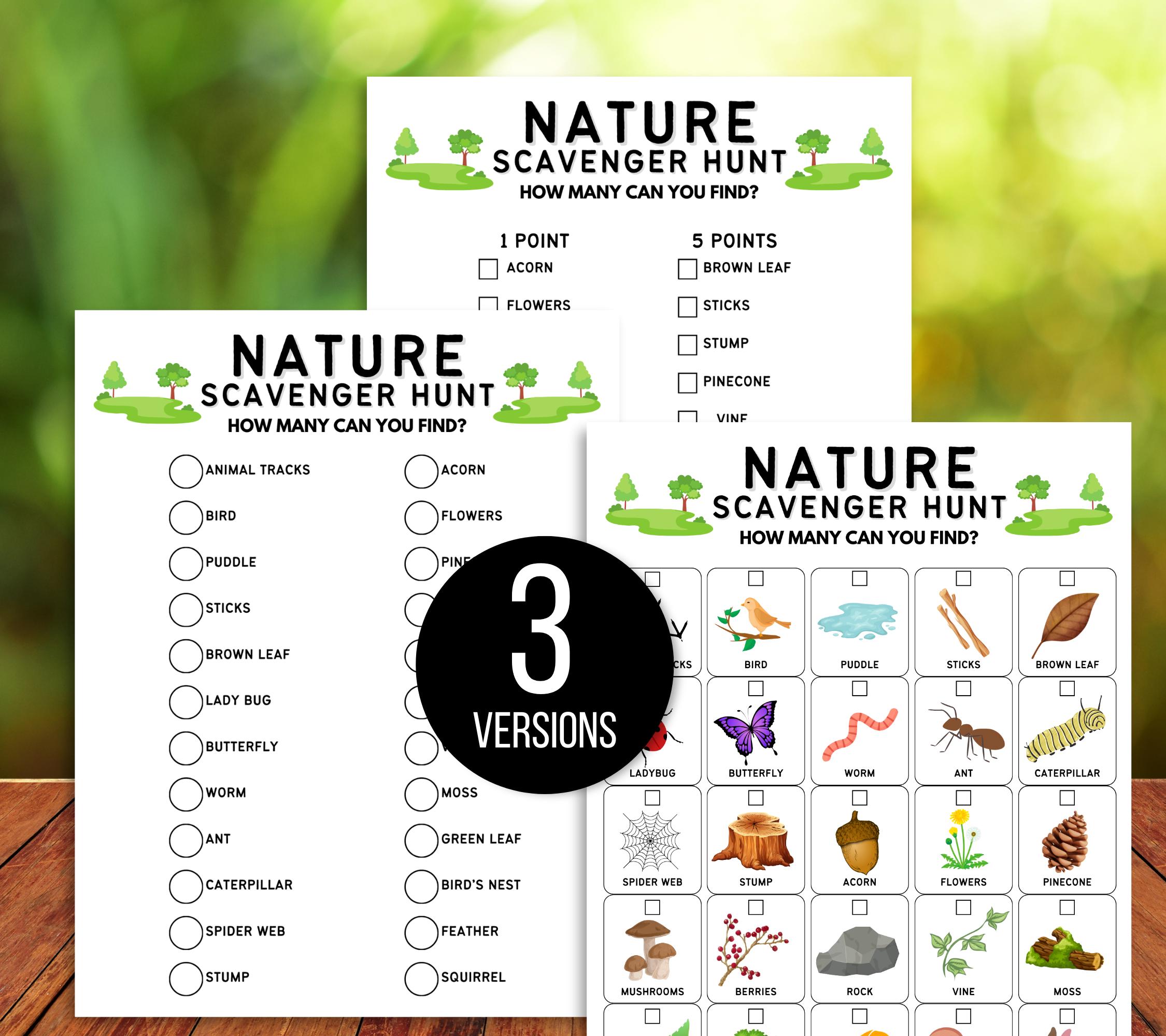 Nature Scavenger Hunt for Kids, Outdoor Nature Scavenger Hunt, Hike ...