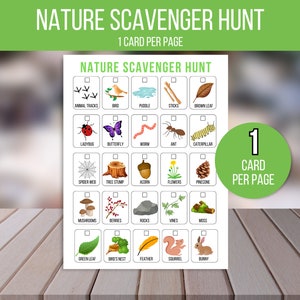 Nature Scavenger Hunt for Kids, Outdoor Nature Scavenger Hunt, Hike ...