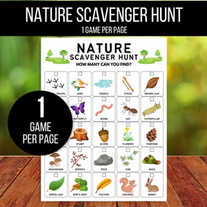Nature Scavenger Hunt for Kids, Outdoor Nature Scavenger Hunt, Hike ...
